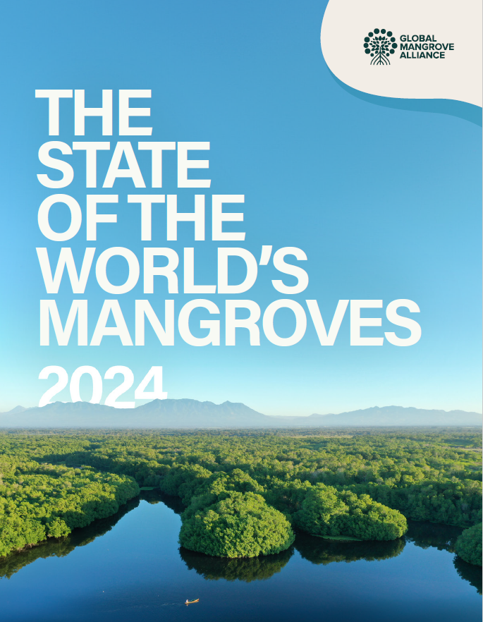 Mangrove Forests: Nature’s Best Defense Against the Effects of Climate ...