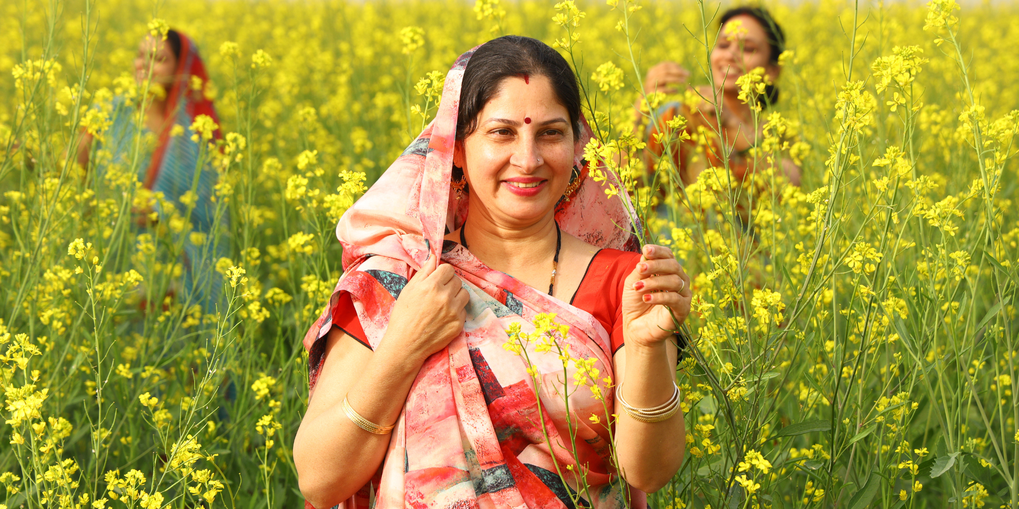 What is Monitoring, Evaluation, and Learning (MEL)?