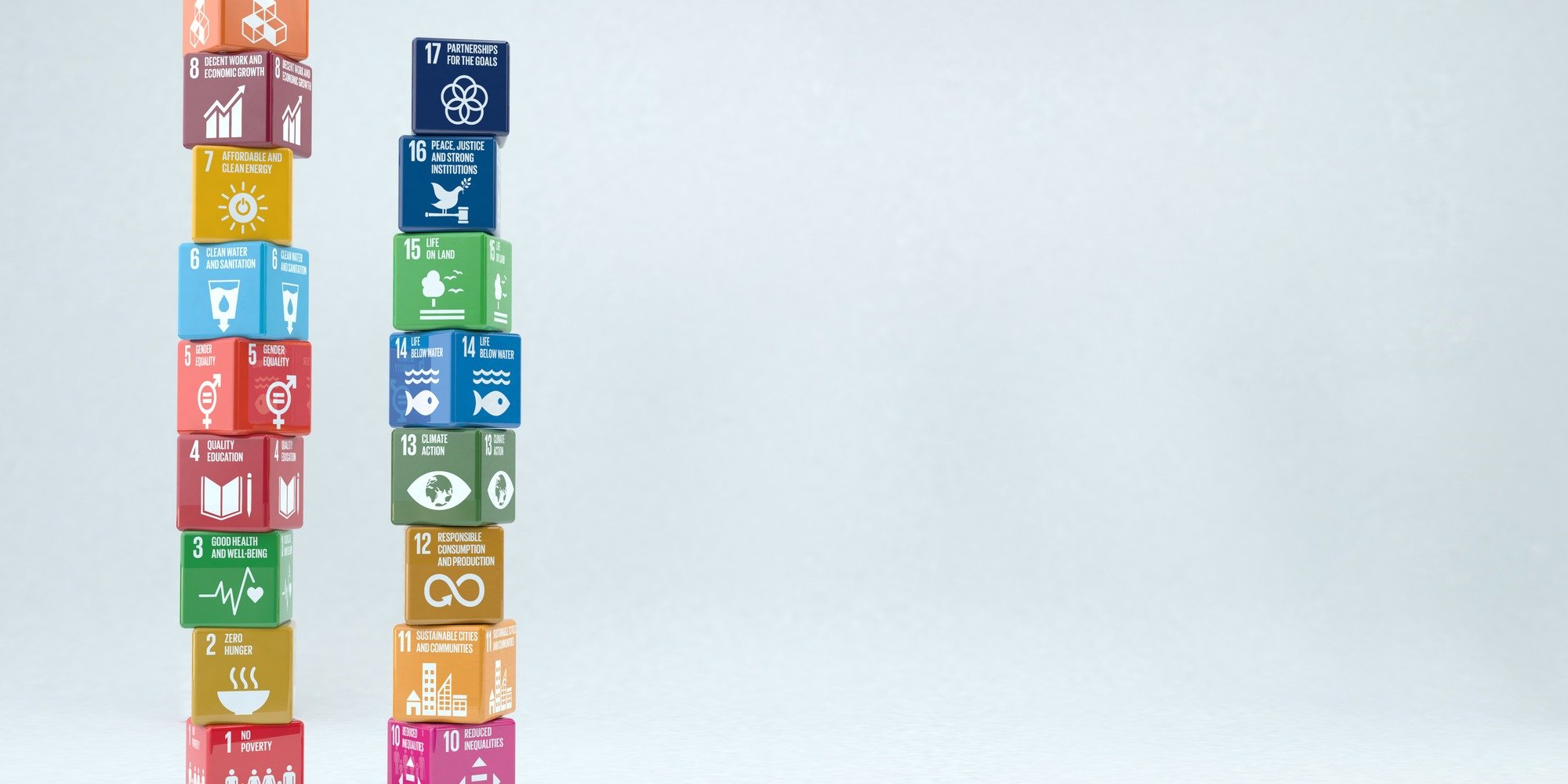 5 Priority UN Sustainable Development Goals for Company Action in 2021